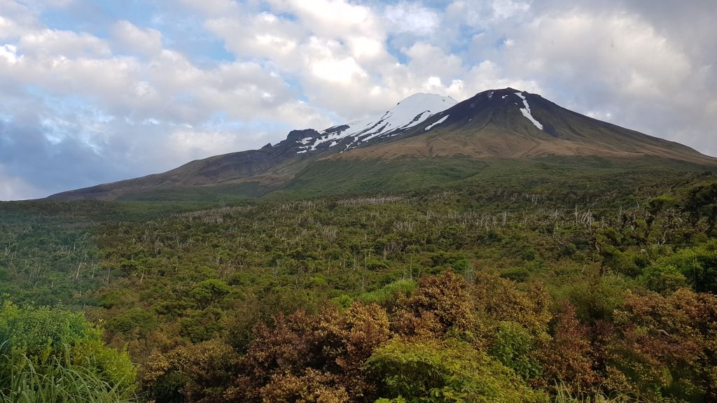 Around the Mountain Taranaki - 3 days Taranaki - Tinytramper®