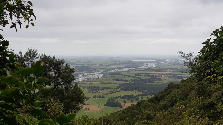 Peel Forest Park - Tinytramper®