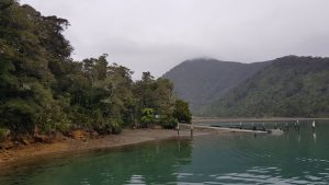 The Nydia Track - Tinytramper®