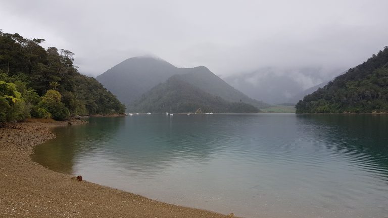 The Nydia Track - Tinytramper®