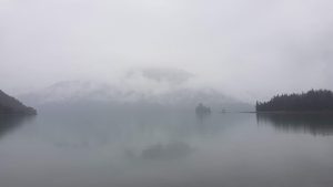 The Nydia Track - Tinytramper®