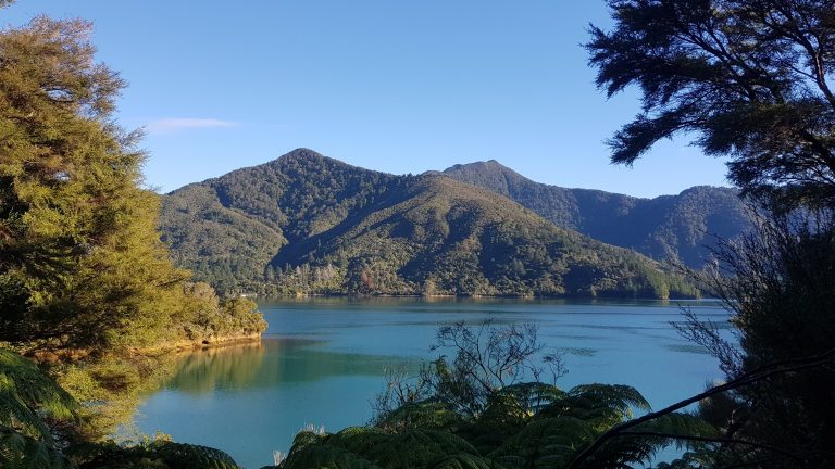 The Nydia Track - Tinytramper®