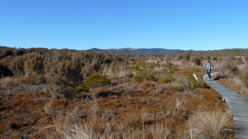 Big River Track - Waiuta to Big River Mine West Coast - Tinytramper®