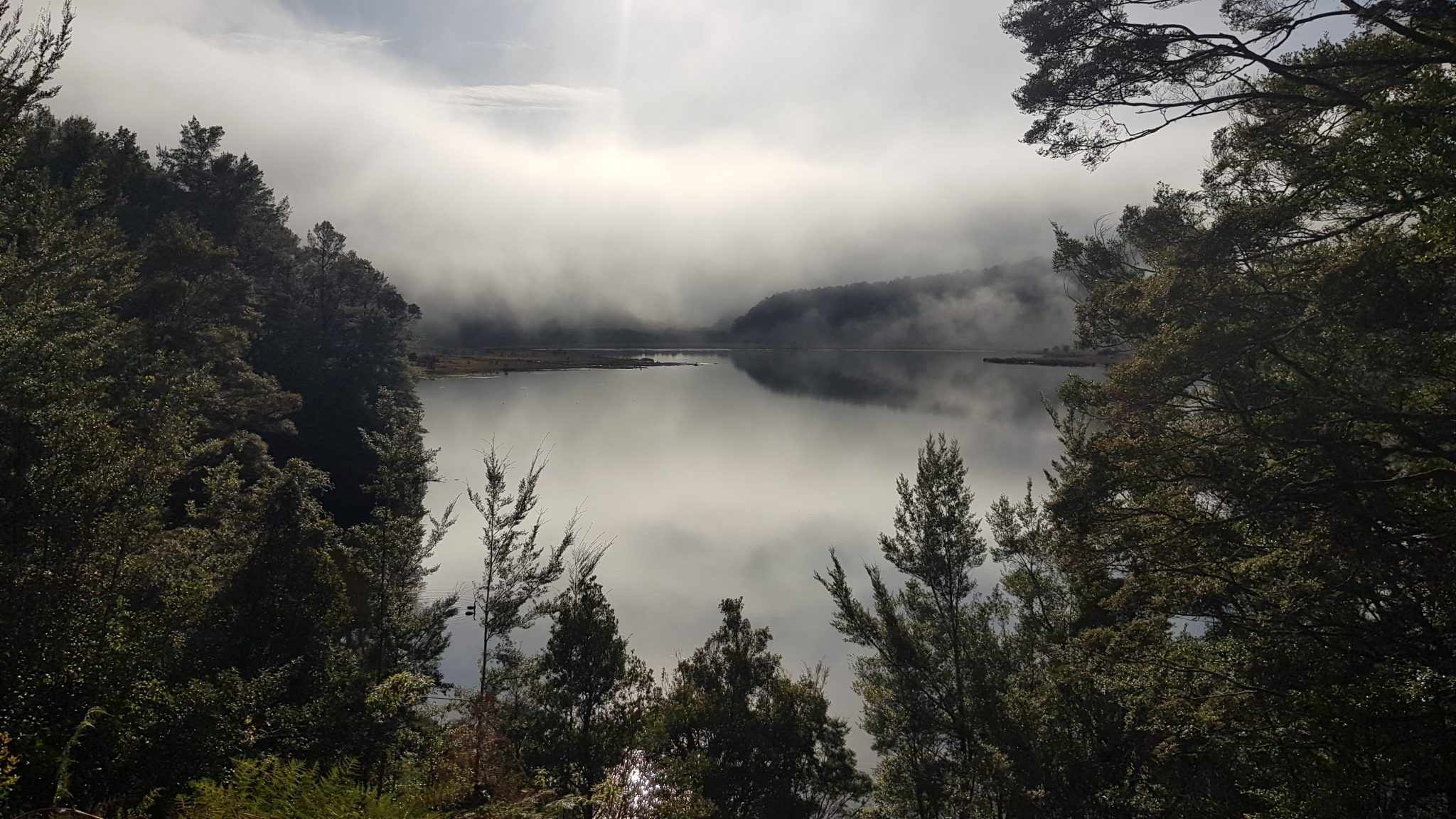 1000 Acre Plateau Kahurangi National Park - Tinytramper®