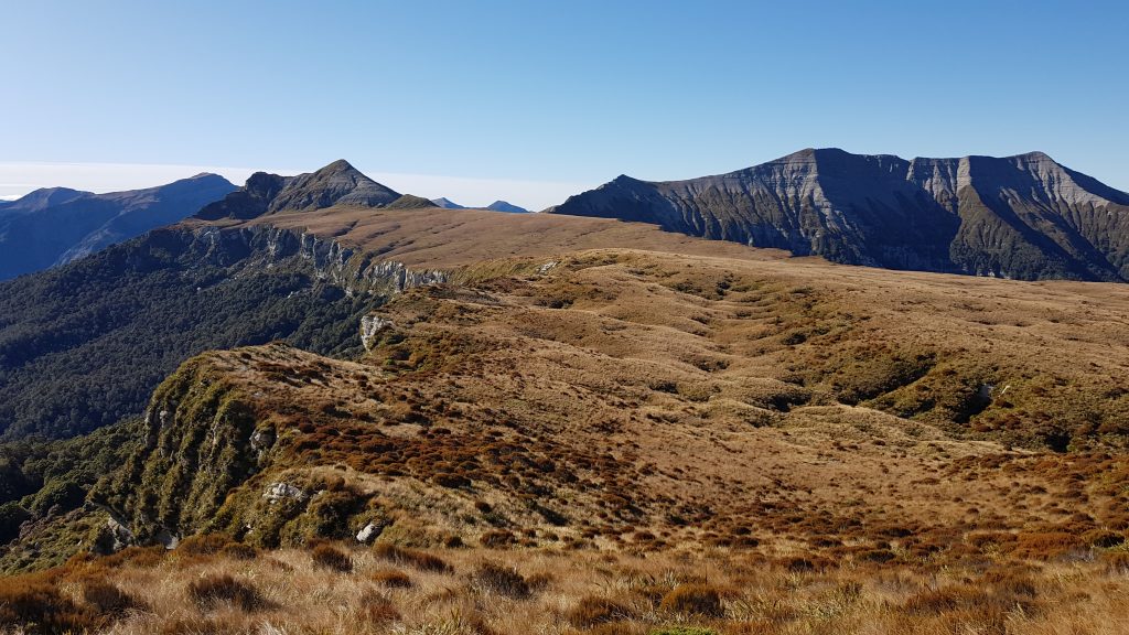 1000 Acre Plateau Kahurangi National Park - Tinytramper