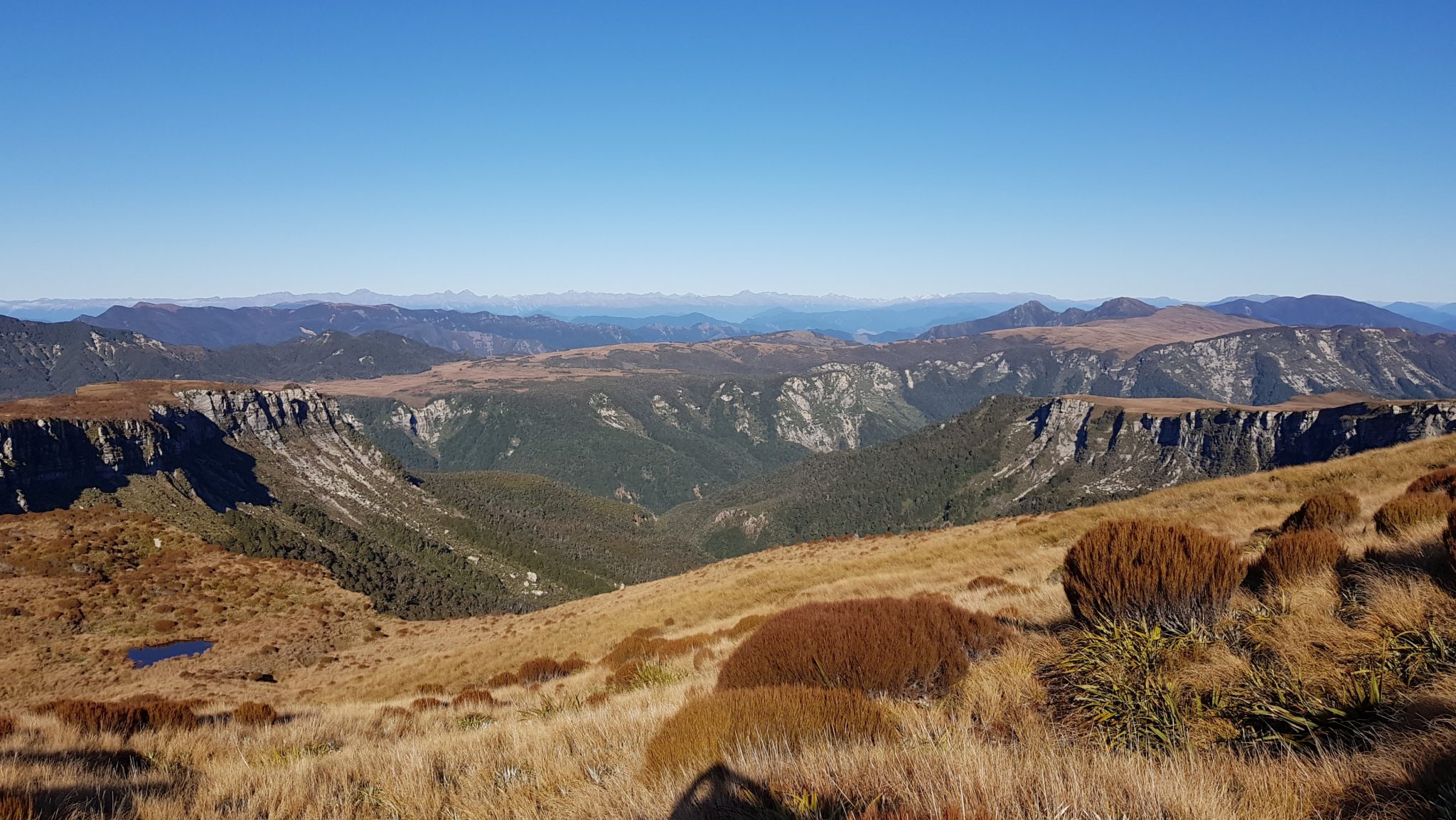 1000 Acre Plateau Kahurangi National Park - Tinytramper