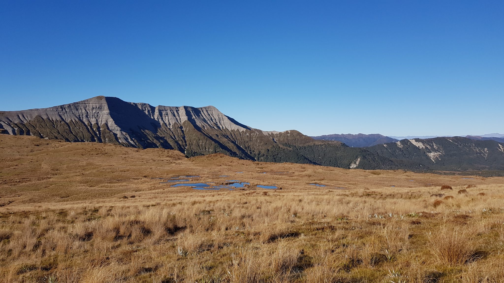 1000 Acre Plateau Kahurangi National Park - Tinytramper