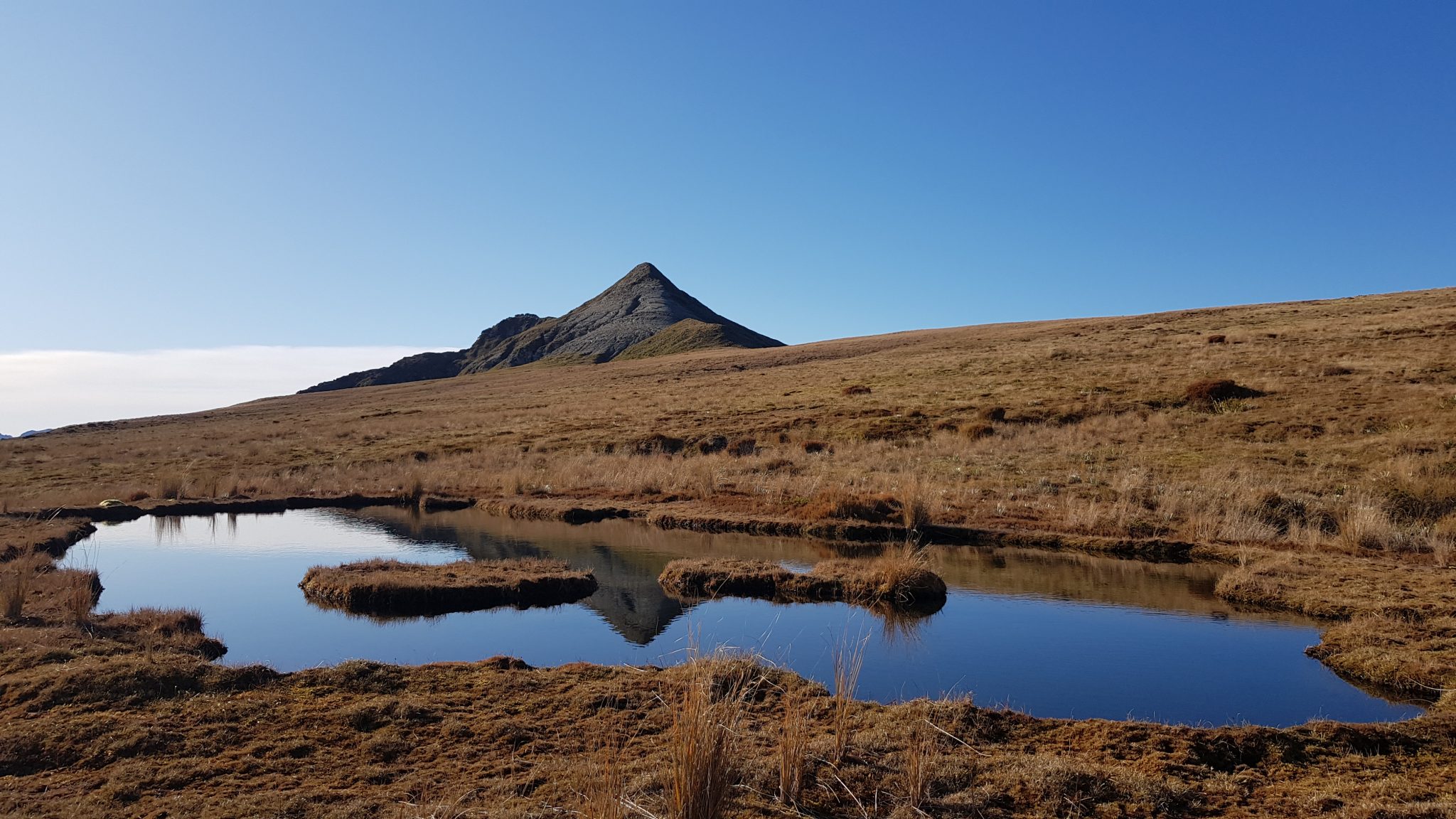 1000 Acre Plateau Kahurangi National Park - Tinytramper
