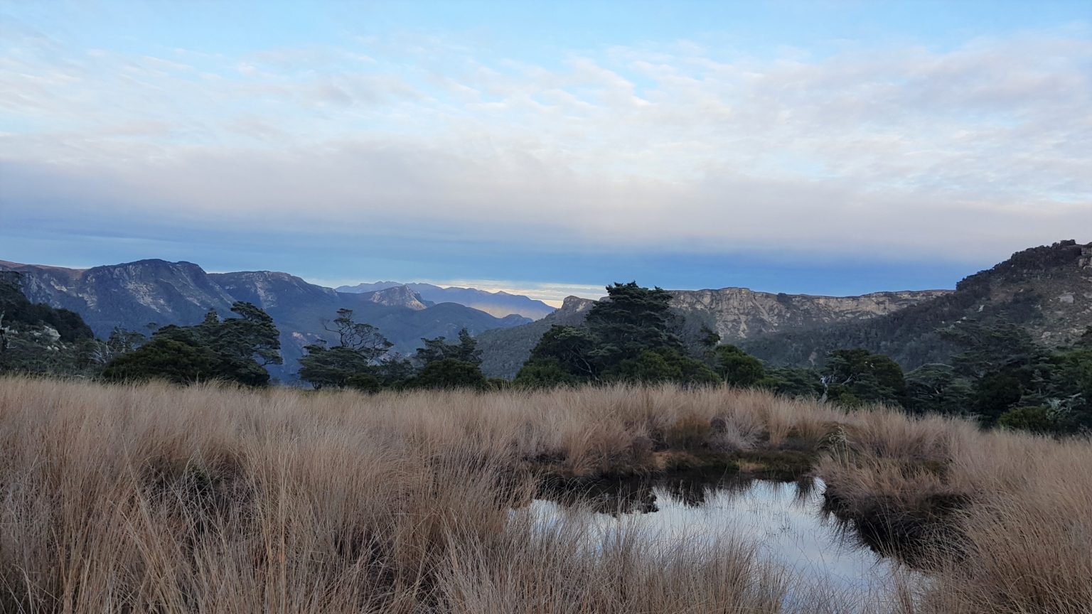 1000 Acre Plateau Kahurangi National Park - Tinytramper