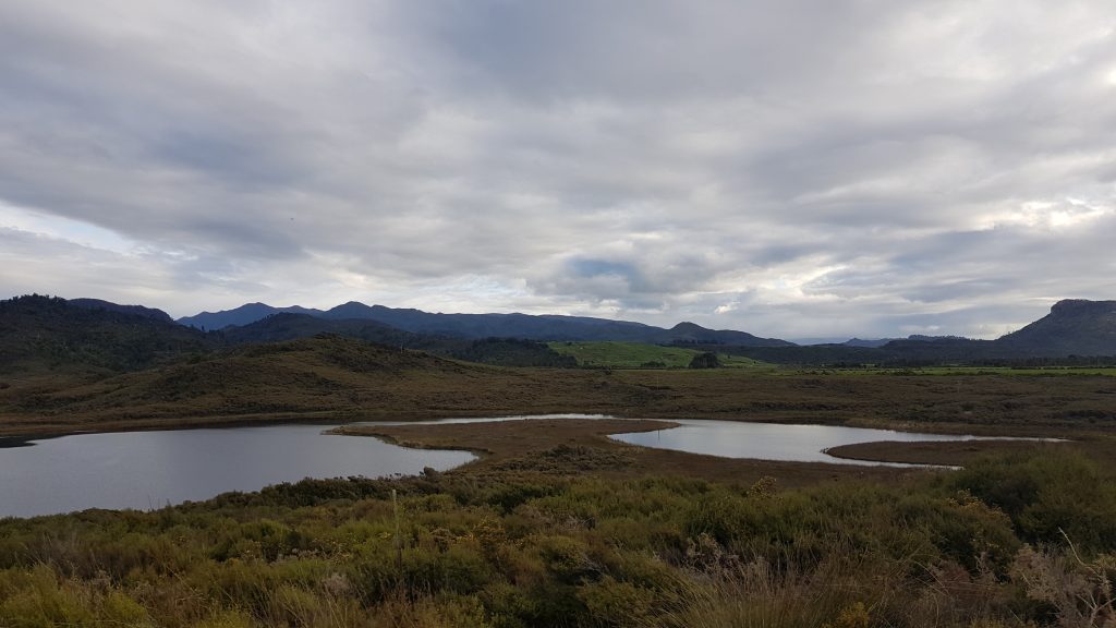 A Weekend around Westhaven (Whanganui Inlet) Tasman - Tinytramper®