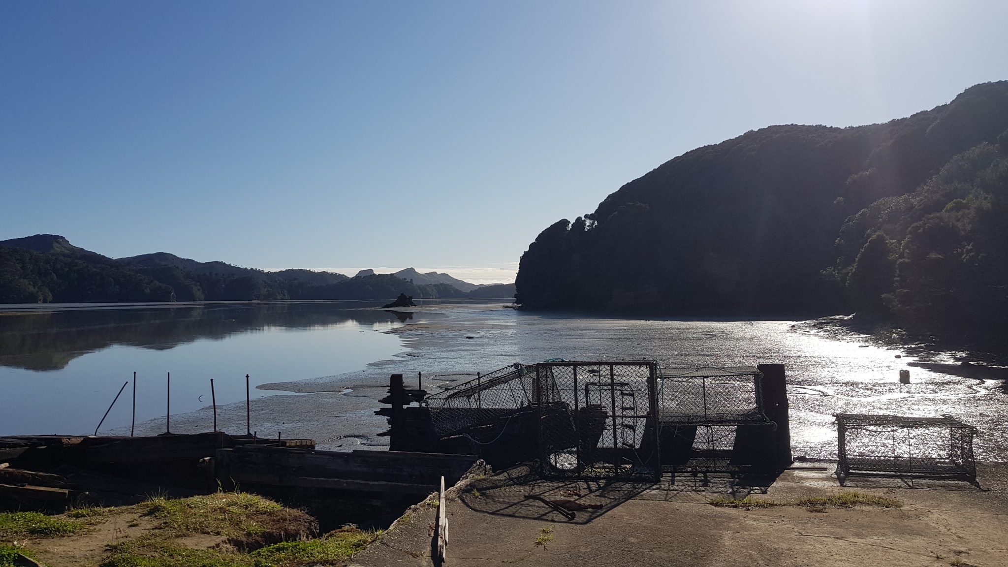 A Weekend around Westhaven (Whanganui Inlet) Tasman - Tinytramper®