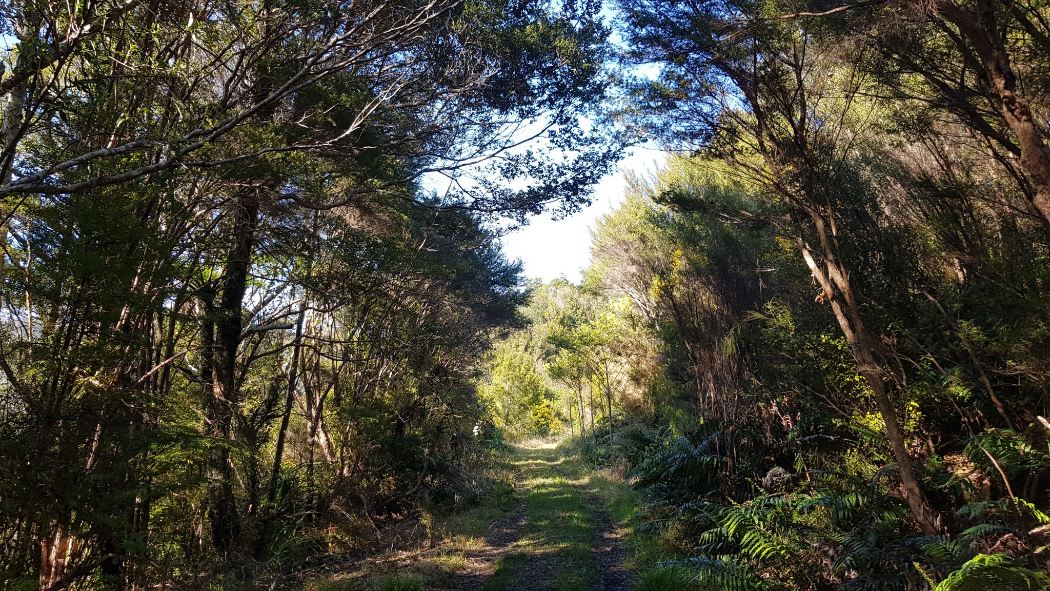 A Weekend around Westhaven (Whanganui Inlet) Tasman - Tinytramper®