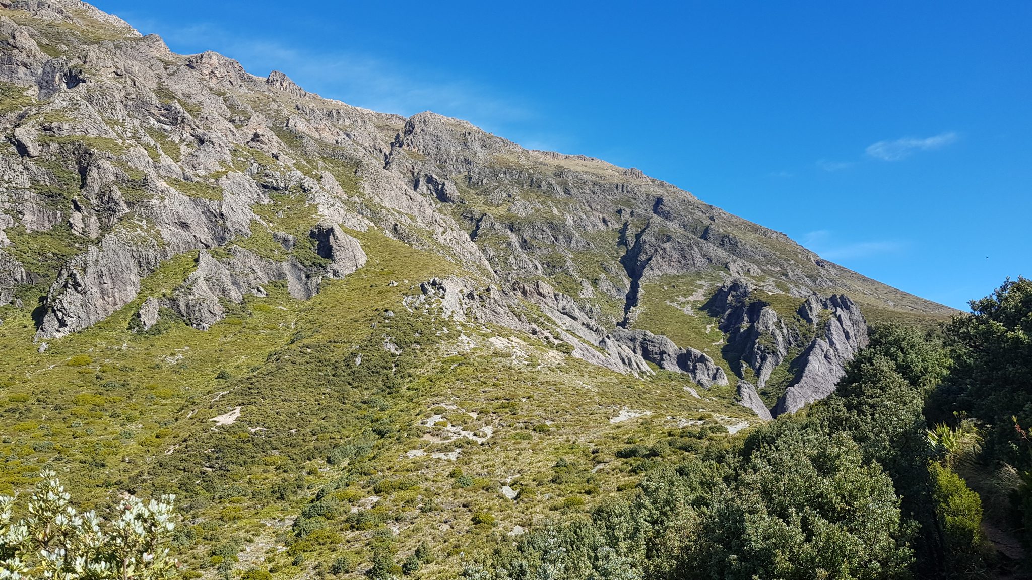 Mt Somers Track Canterbury - Tinytramper®