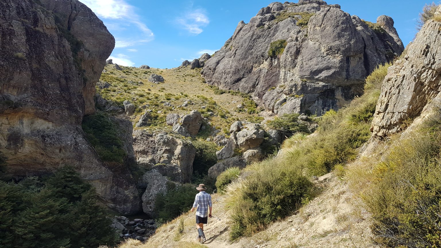 Mt Somers Track Canterbury - Tinytramper®
