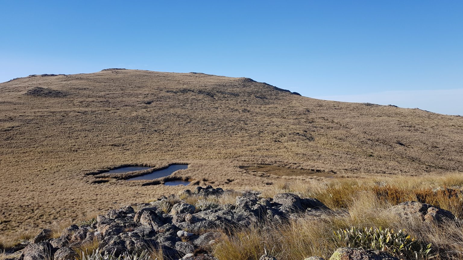 Mt Somers Track Canterbury - Tinytramper®