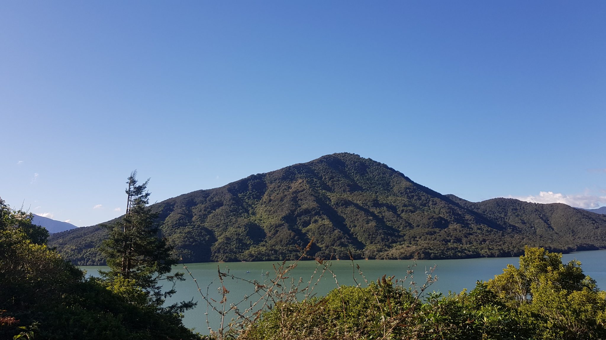 Mount Cawte - Tinytramper®