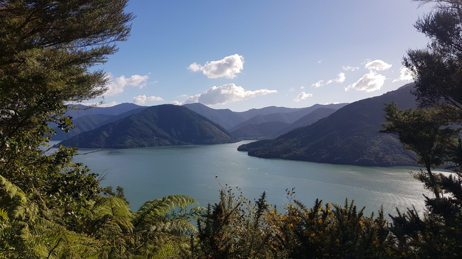 Mount Cawte - Tinytramper®