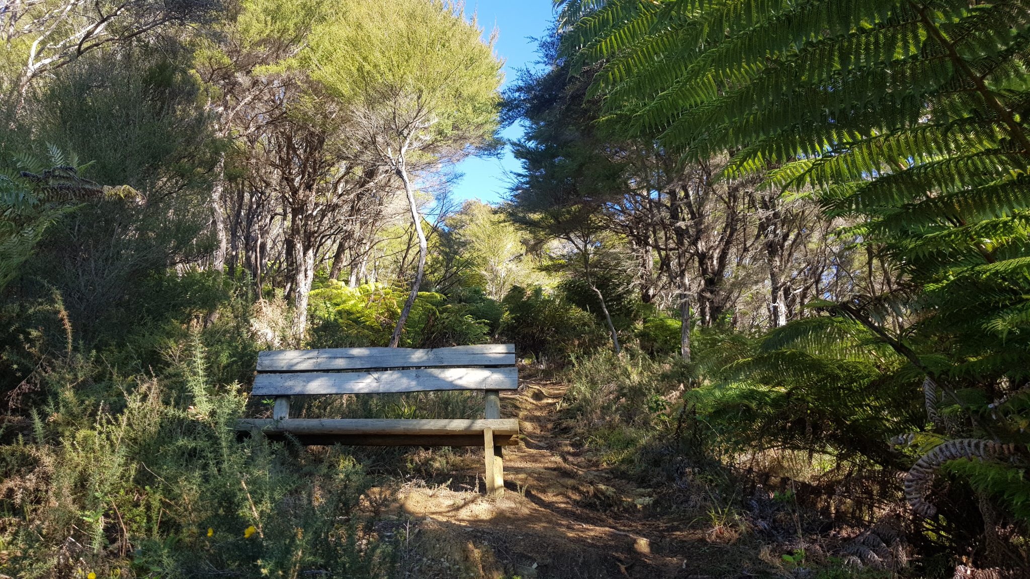 Mount Cawte - Tinytramper®