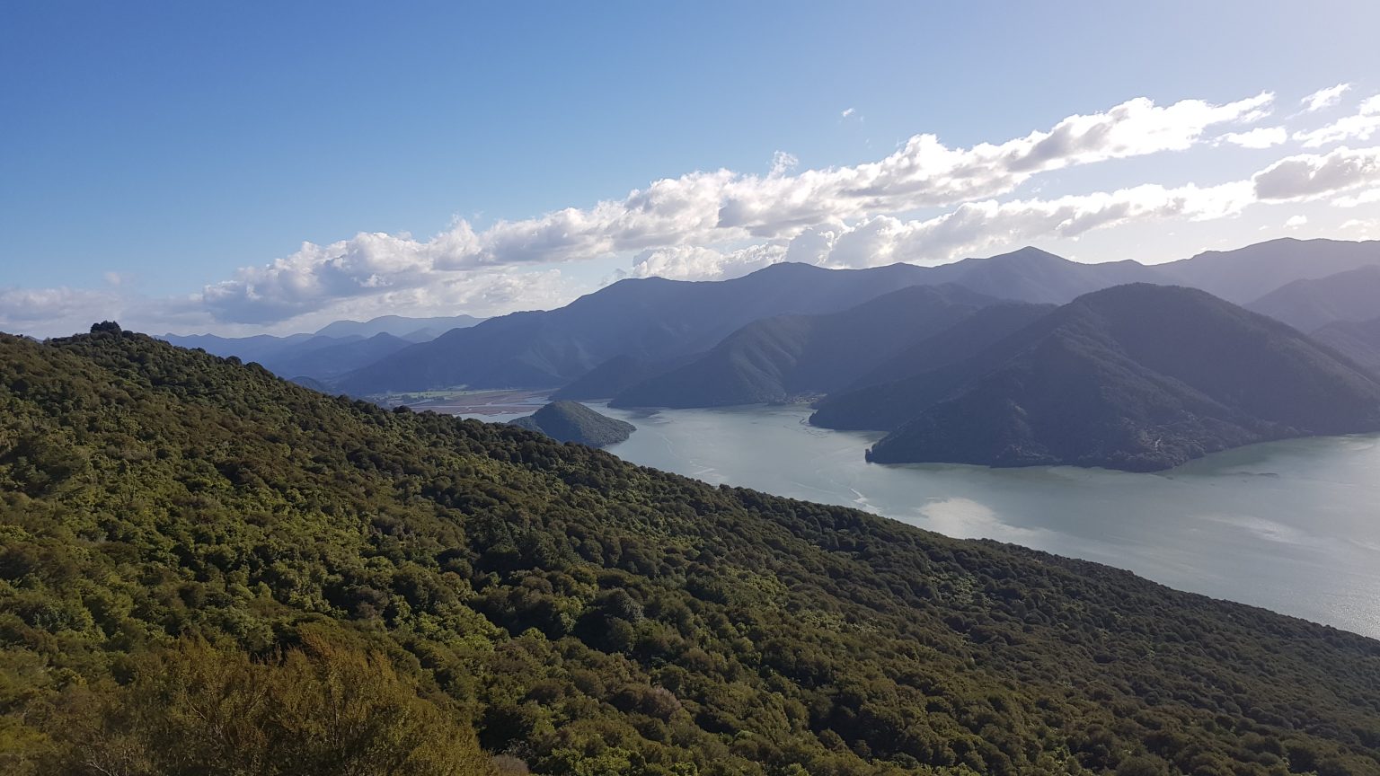 Mount Cawte - Tinytramper®