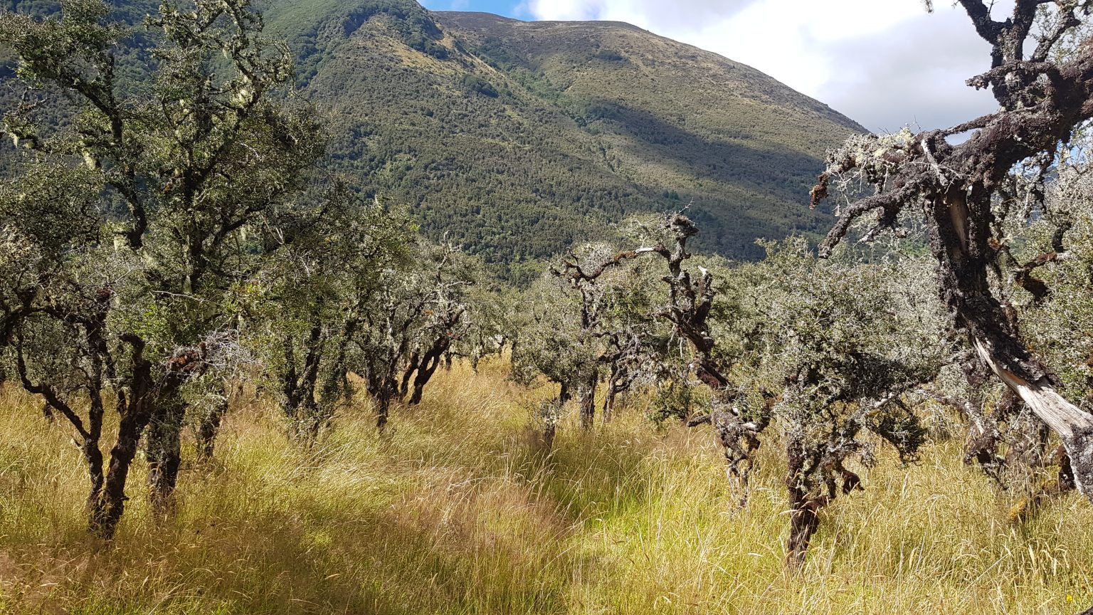 The Hope, Doubtful and Nina Rivers Loop Canterbury - Tinytramper®