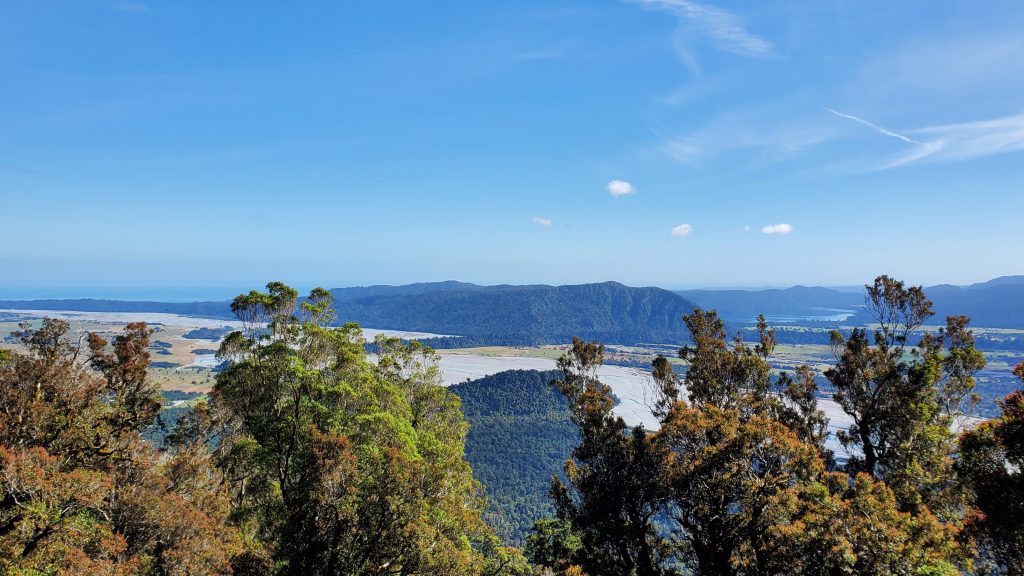 Alex Knob Track West Coast - Tinytramper®