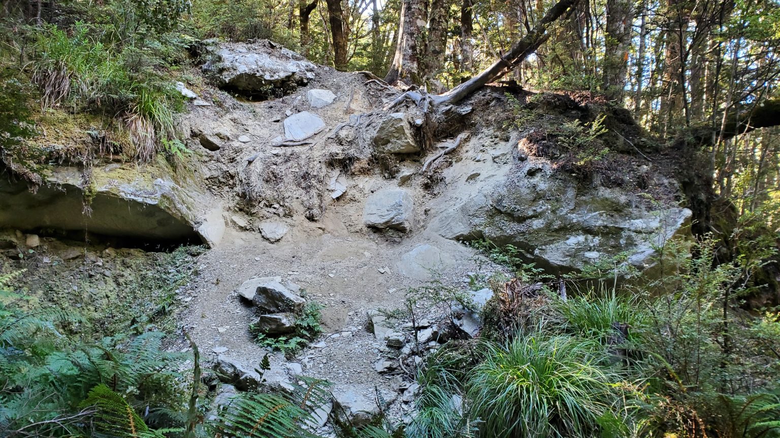 Earnslaw Burn Track Otago - Tinytramper®