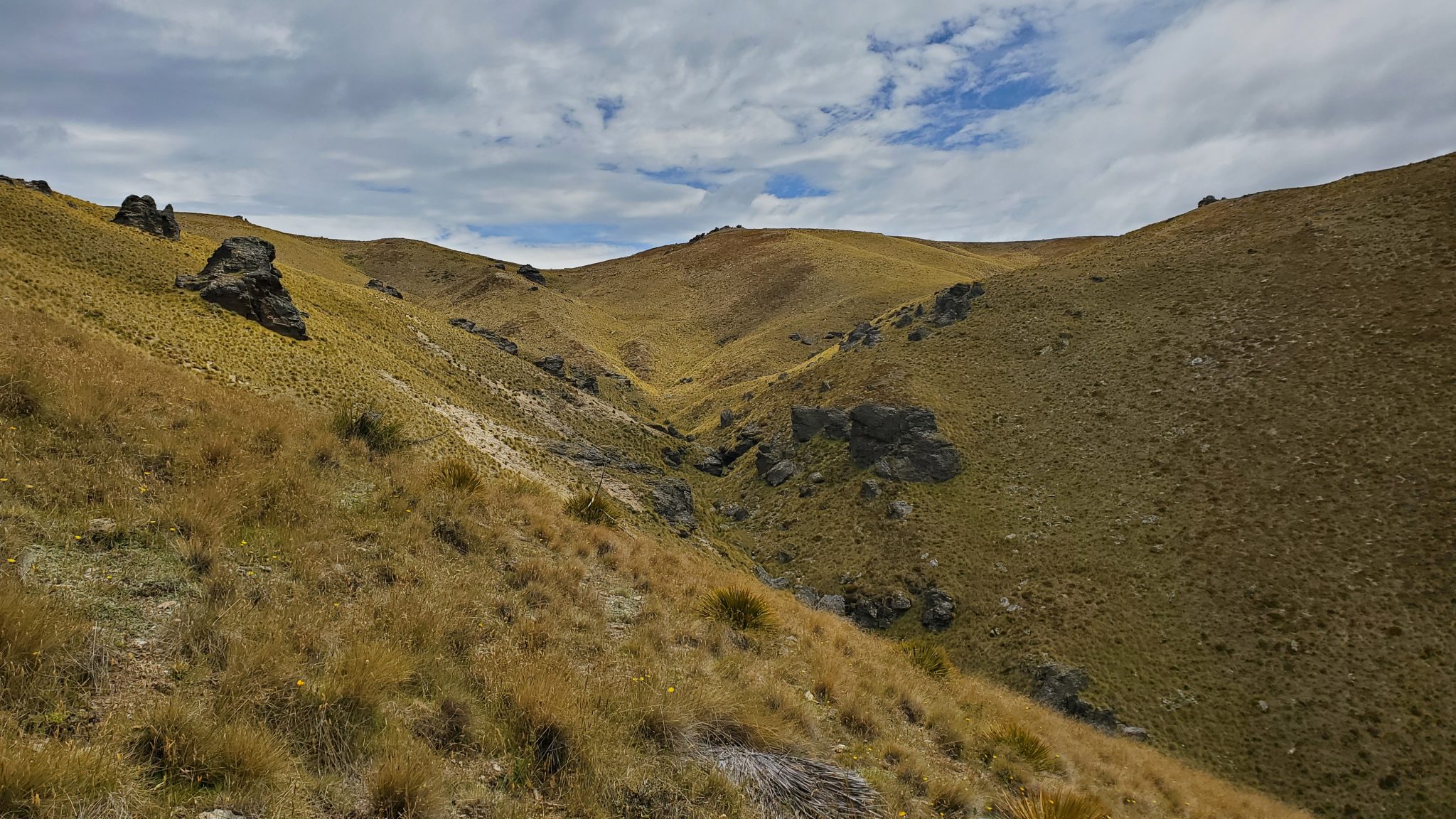 The Pisa Range Otago - Tinytramper®