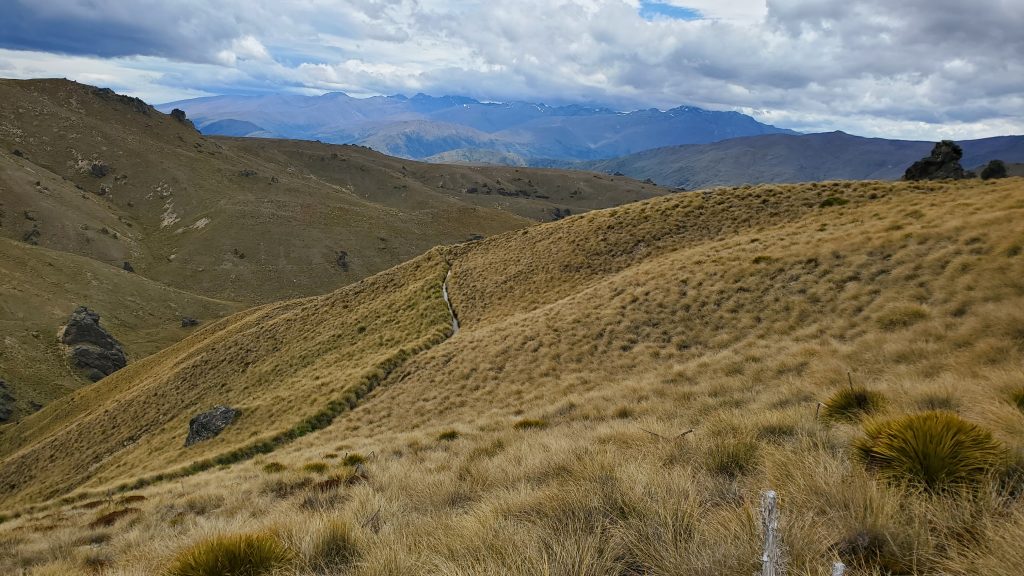 The Pisa Range Otago - Tinytramper®