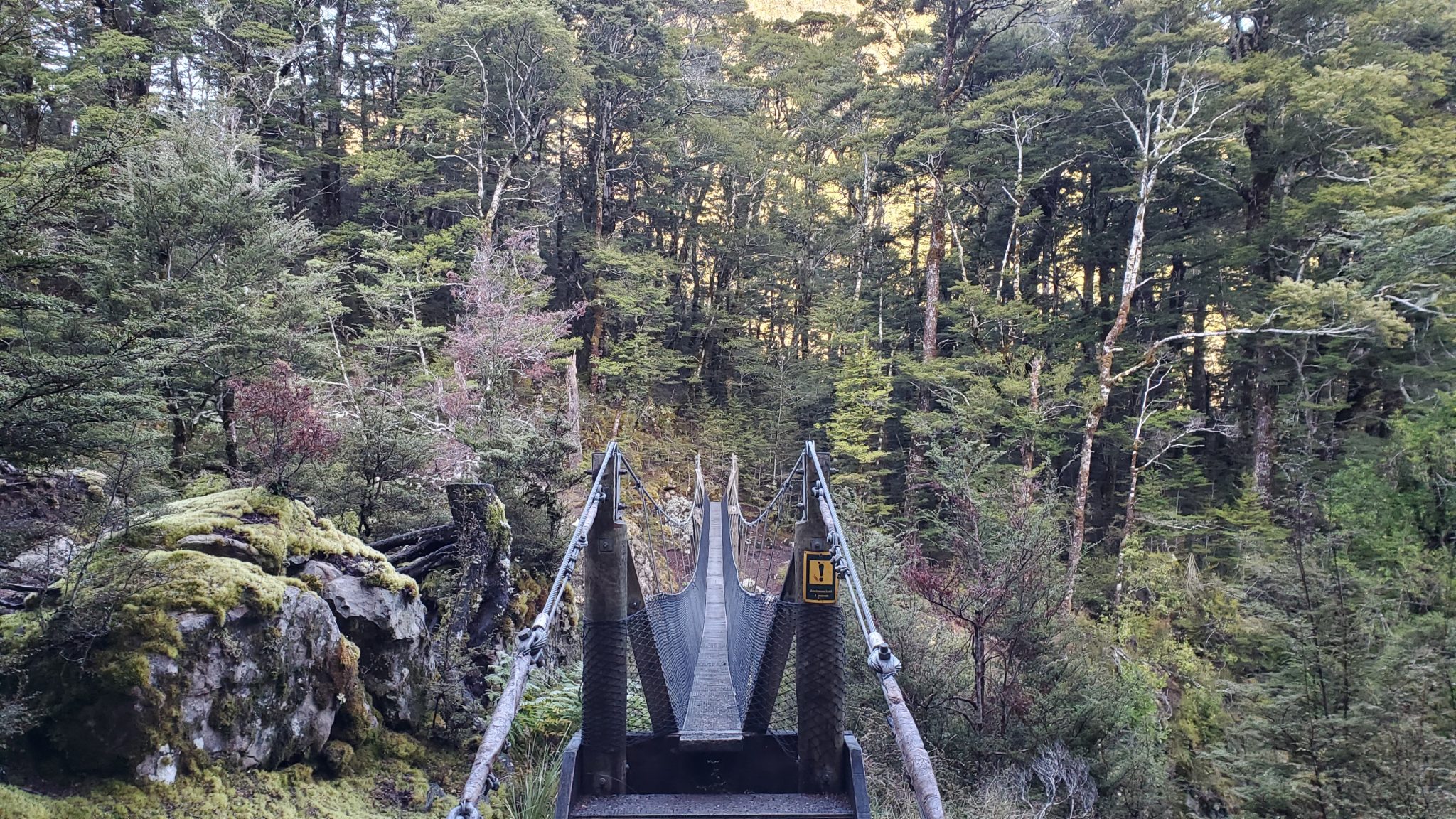 Nina Valley Track to Upper Nina Bivvy Canterbury - Tinytramper®