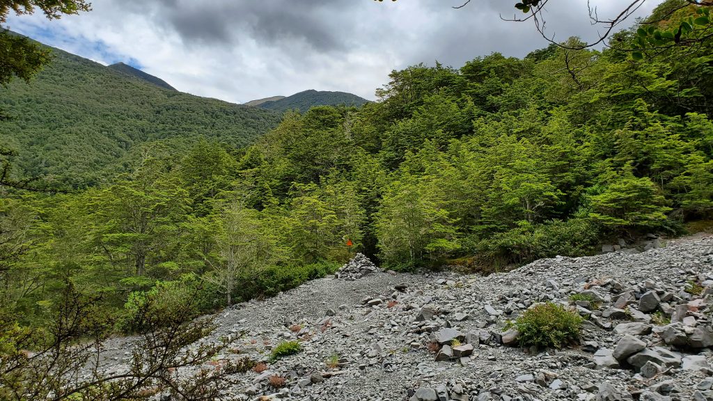 Casey, Poulter, Binser Loop Canterbury - Tinytramper®