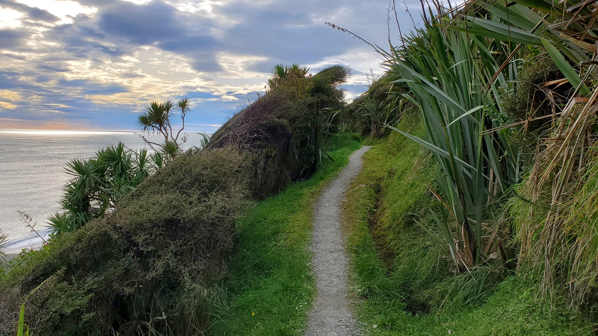 Point Elizabeth Walkway West Coast - Tinytramper®