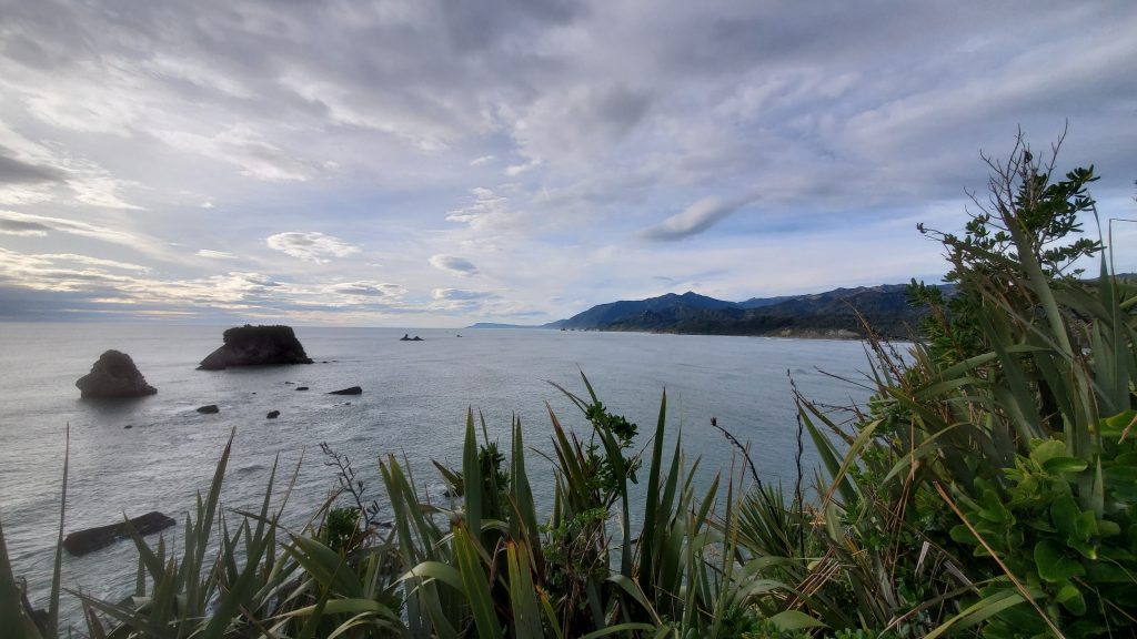 Point Elizabeth Walkway West Coast - Tinytramper®