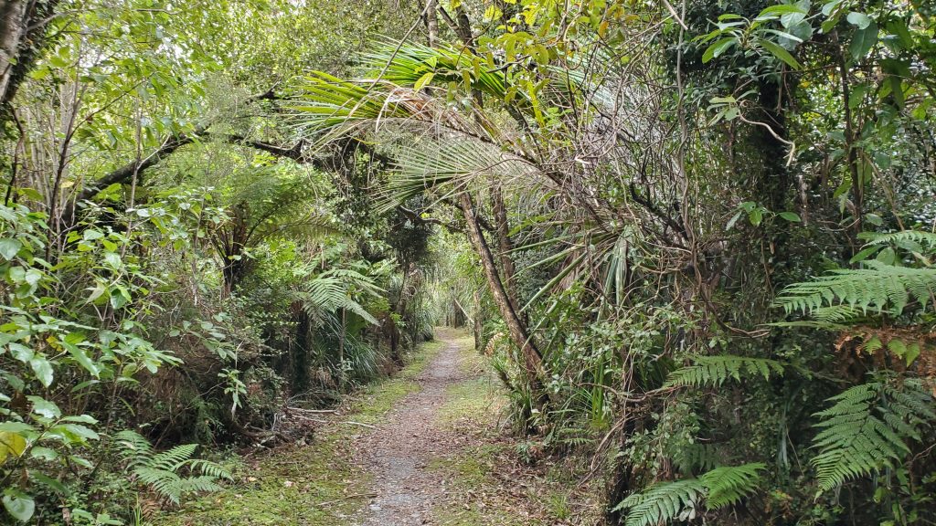 Point Elizabeth Walkway West Coast - Tinytramper®