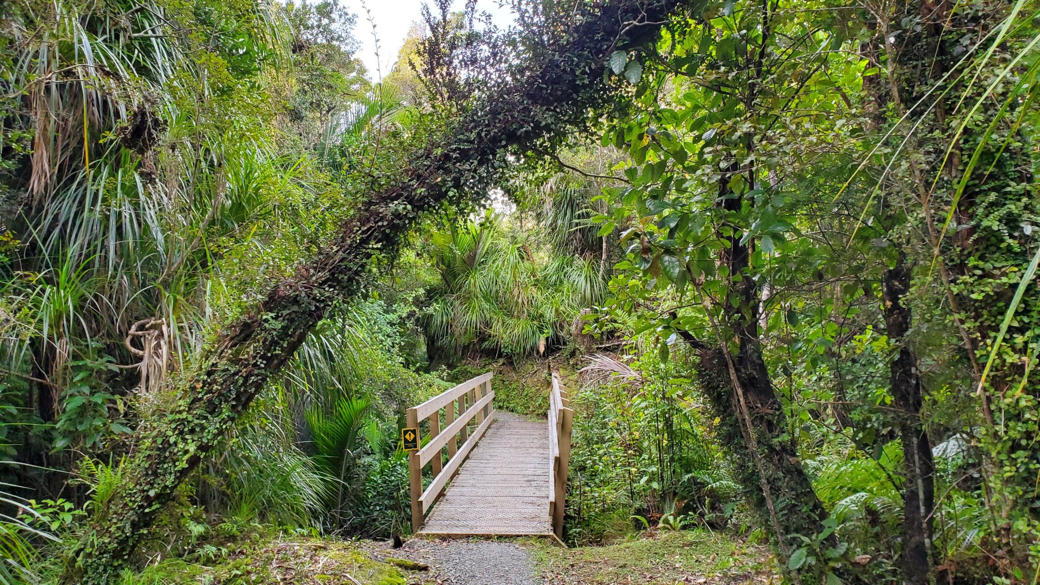 Point Elizabeth Walkway West Coast - Tinytramper®