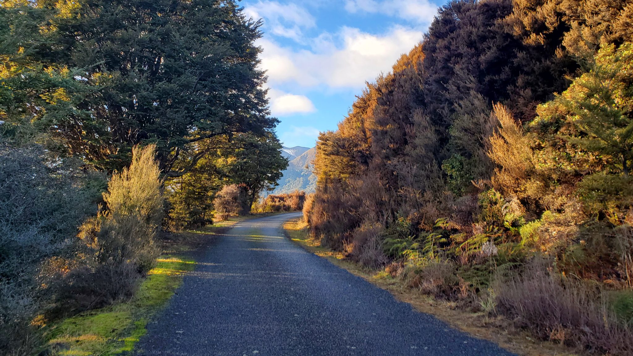 Bealey Spur Track Canterbury - Tinytramper®