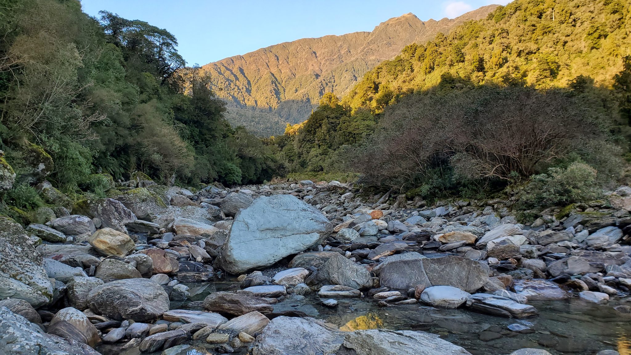 Cedar Flat and Adventure Biv West Coast - Tinytramper®