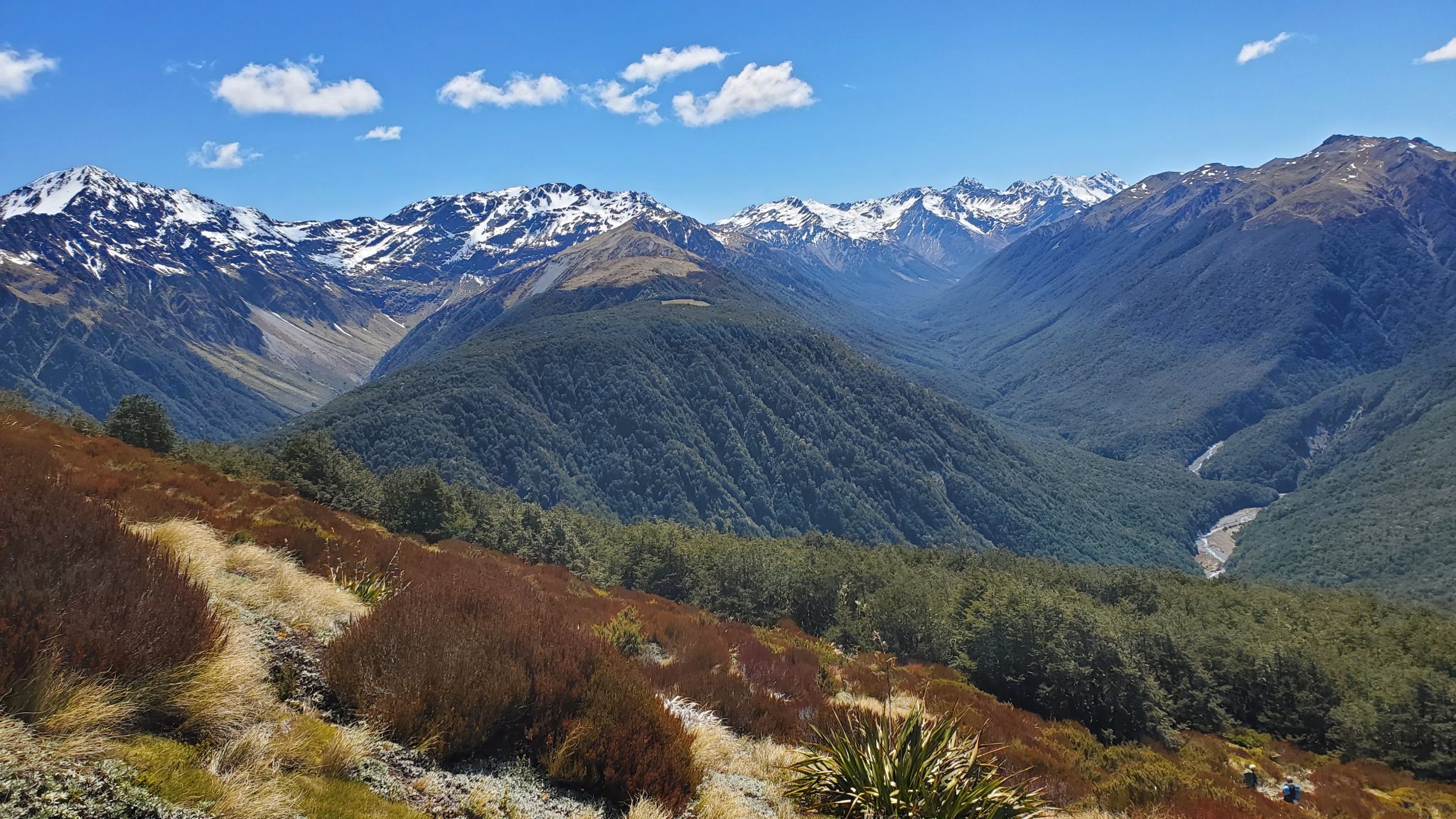 Lewis Tops, Lucretia and Nina River Canterbury - Tinytramper®