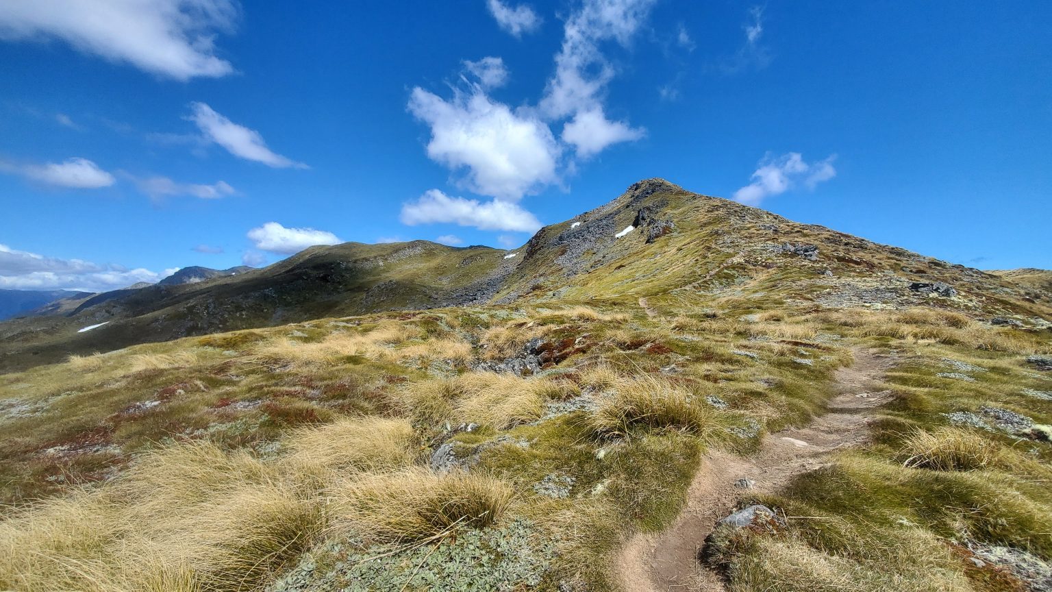 Lewis Tops, Lucretia and Nina River Canterbury - Tinytramper®