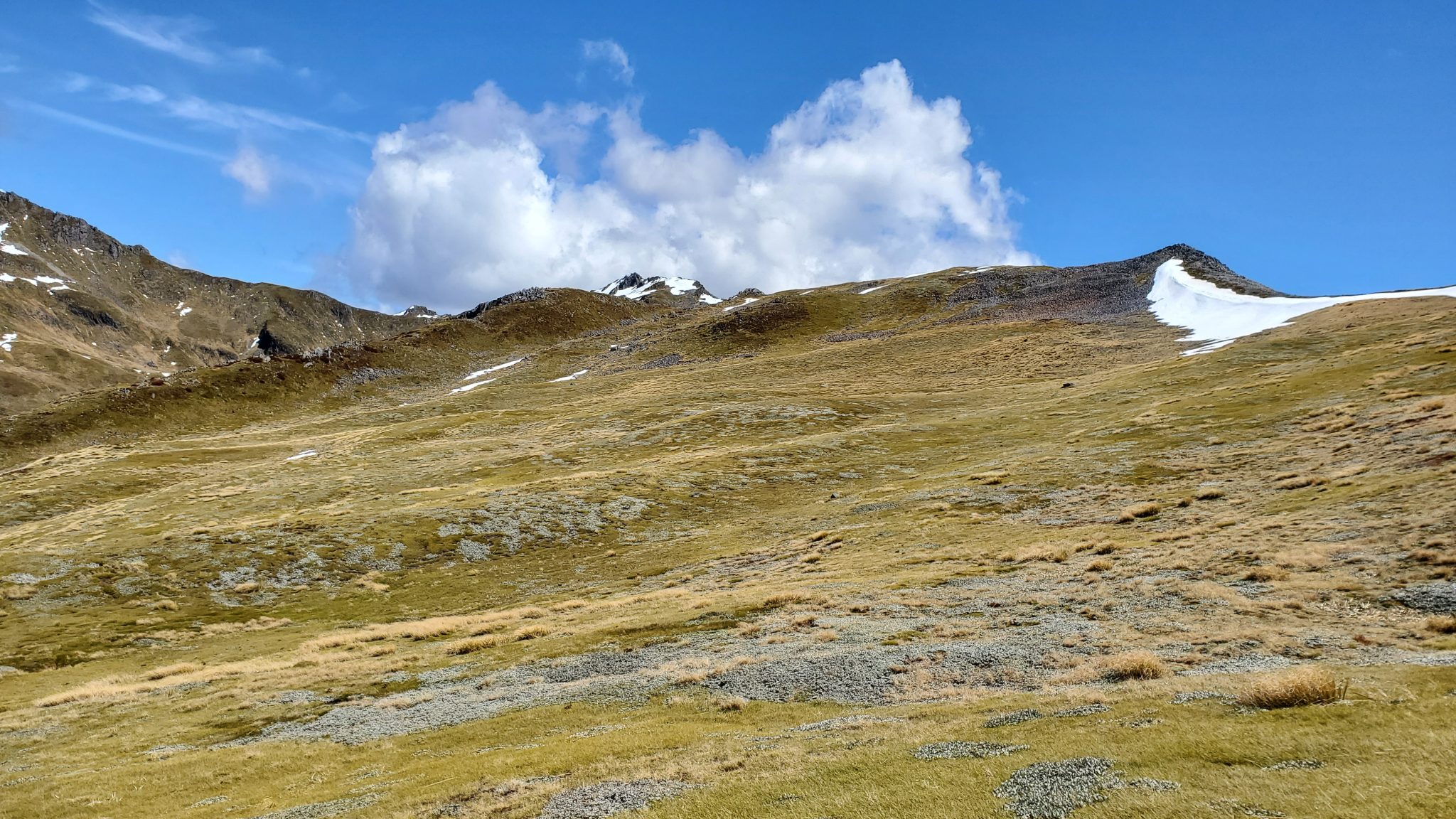 Lewis Tops, Lucretia and Nina River Canterbury - Tinytramper®