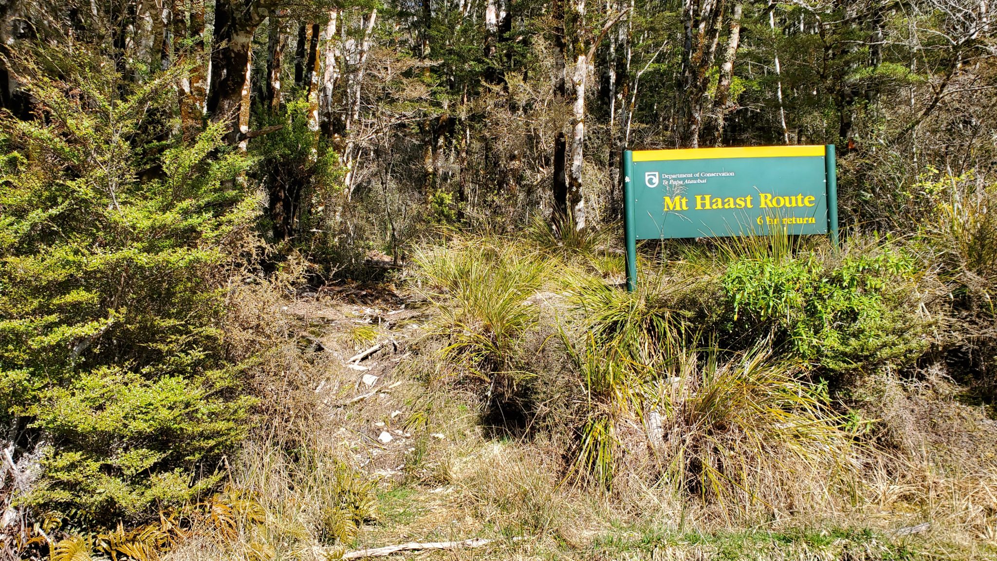 Mt Haast West Coast - Tinytramper®