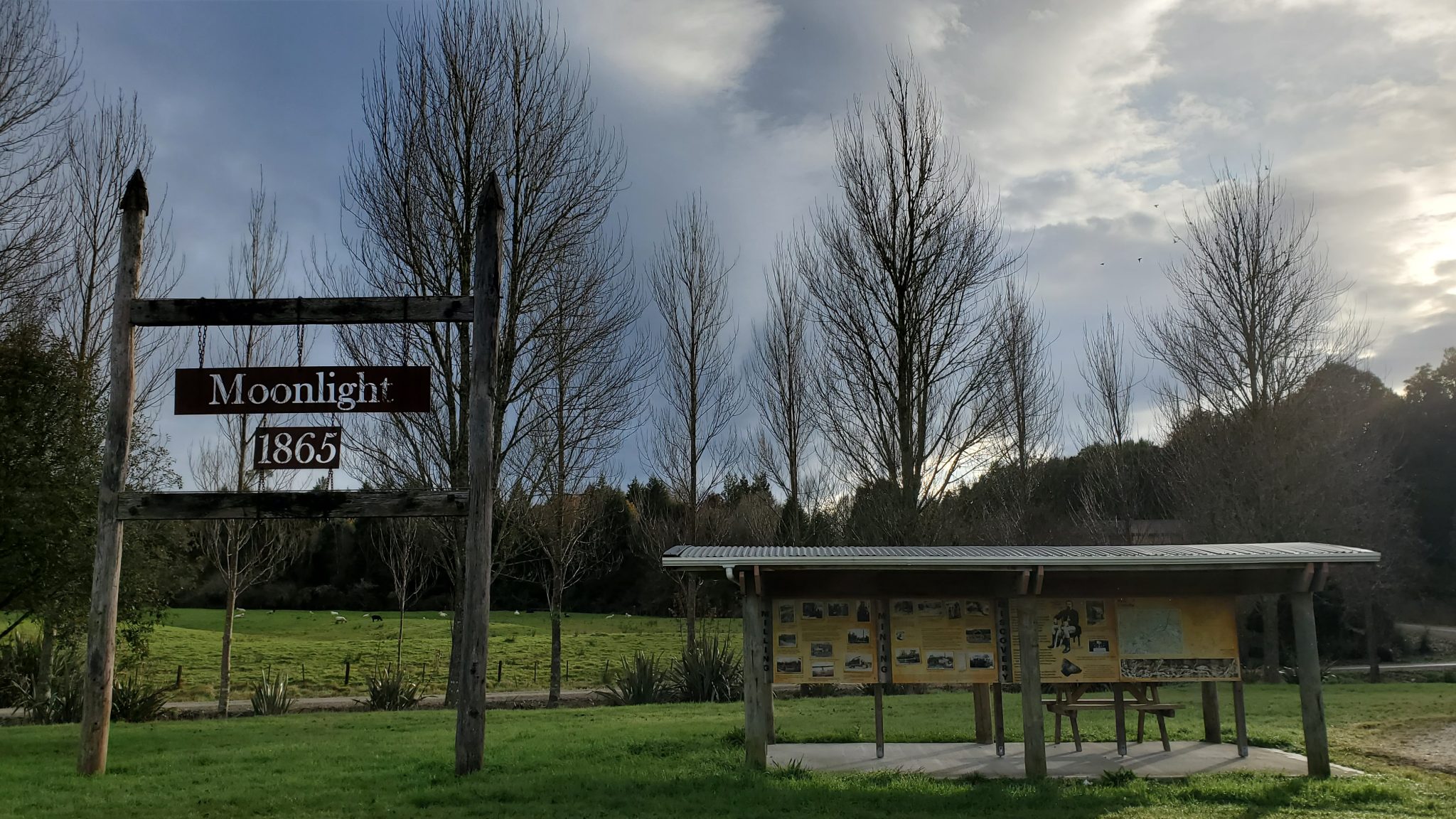 Moonlight Pack Track to Meikles Hut West Coast - Tinytramper®