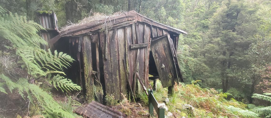 Moonlight Pack Track to Meikles Hut West Coast - Tinytramper®